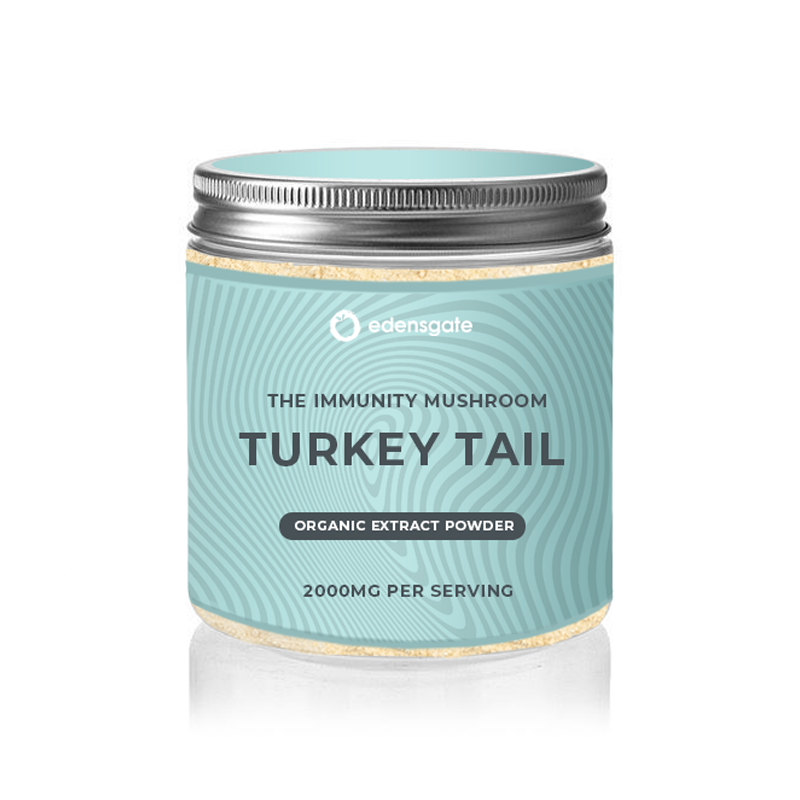 Turkey Tail Mushroom Powder - 90g